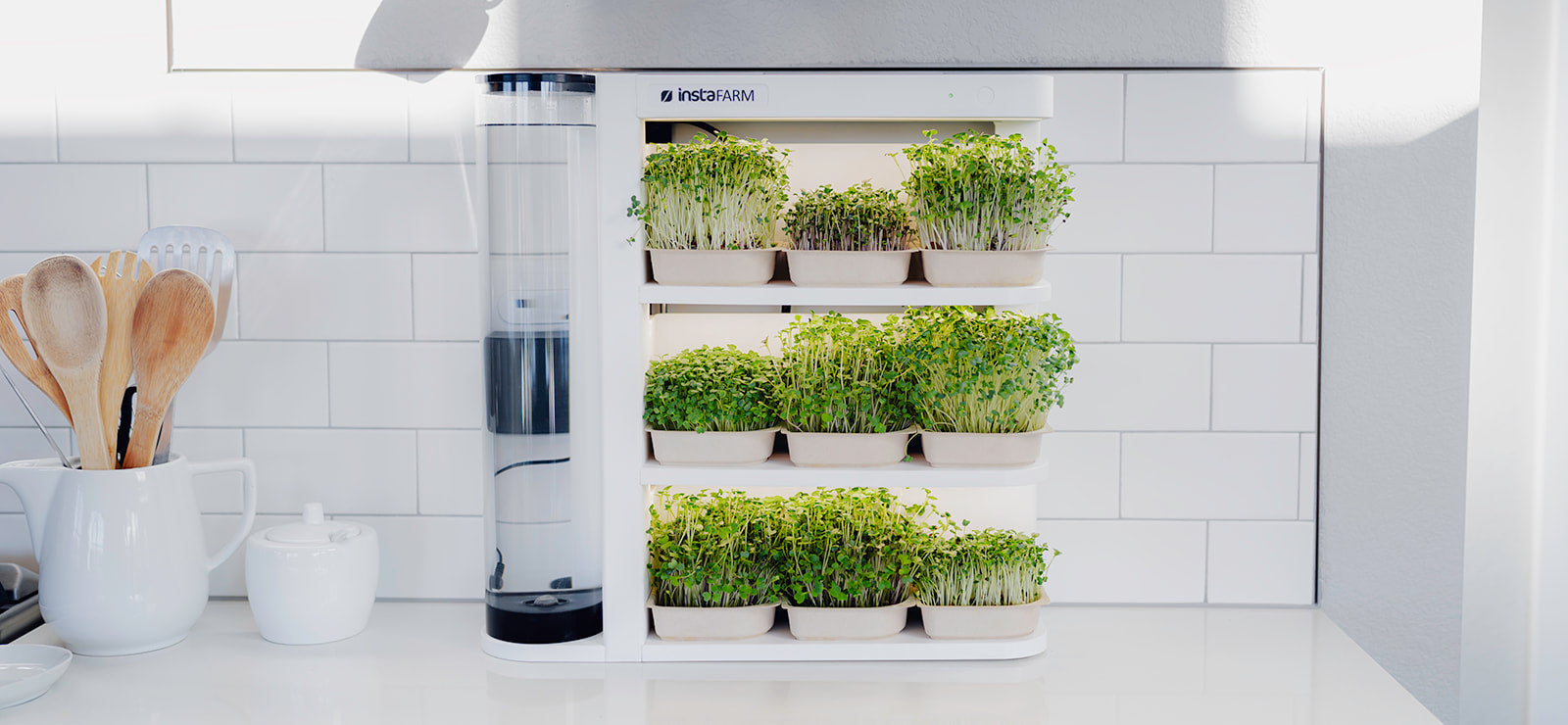 Instafarm - Grow Organic Soil-Based Microgreens Easy