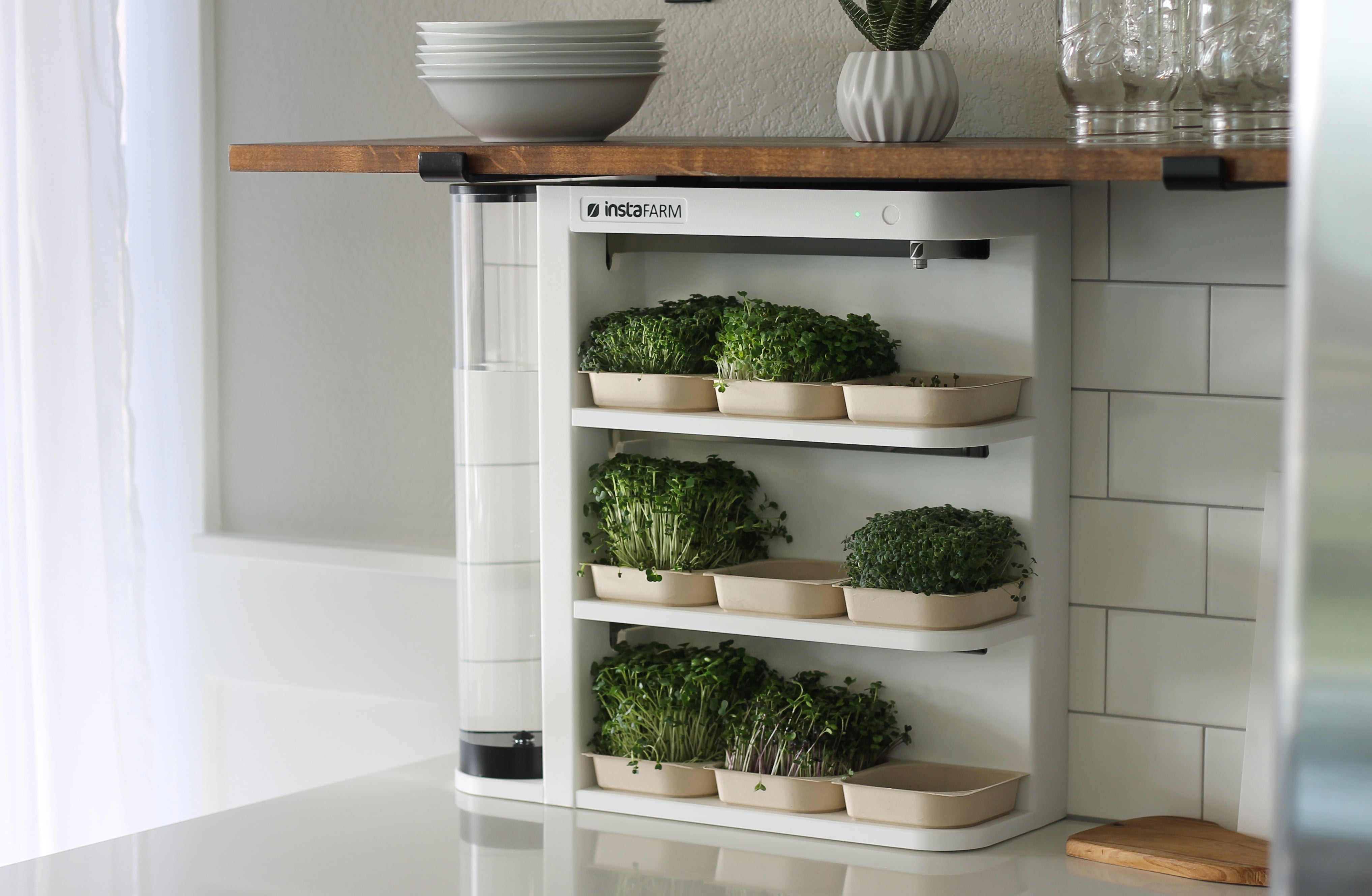 Bring the farm to your table with the Instafarm!