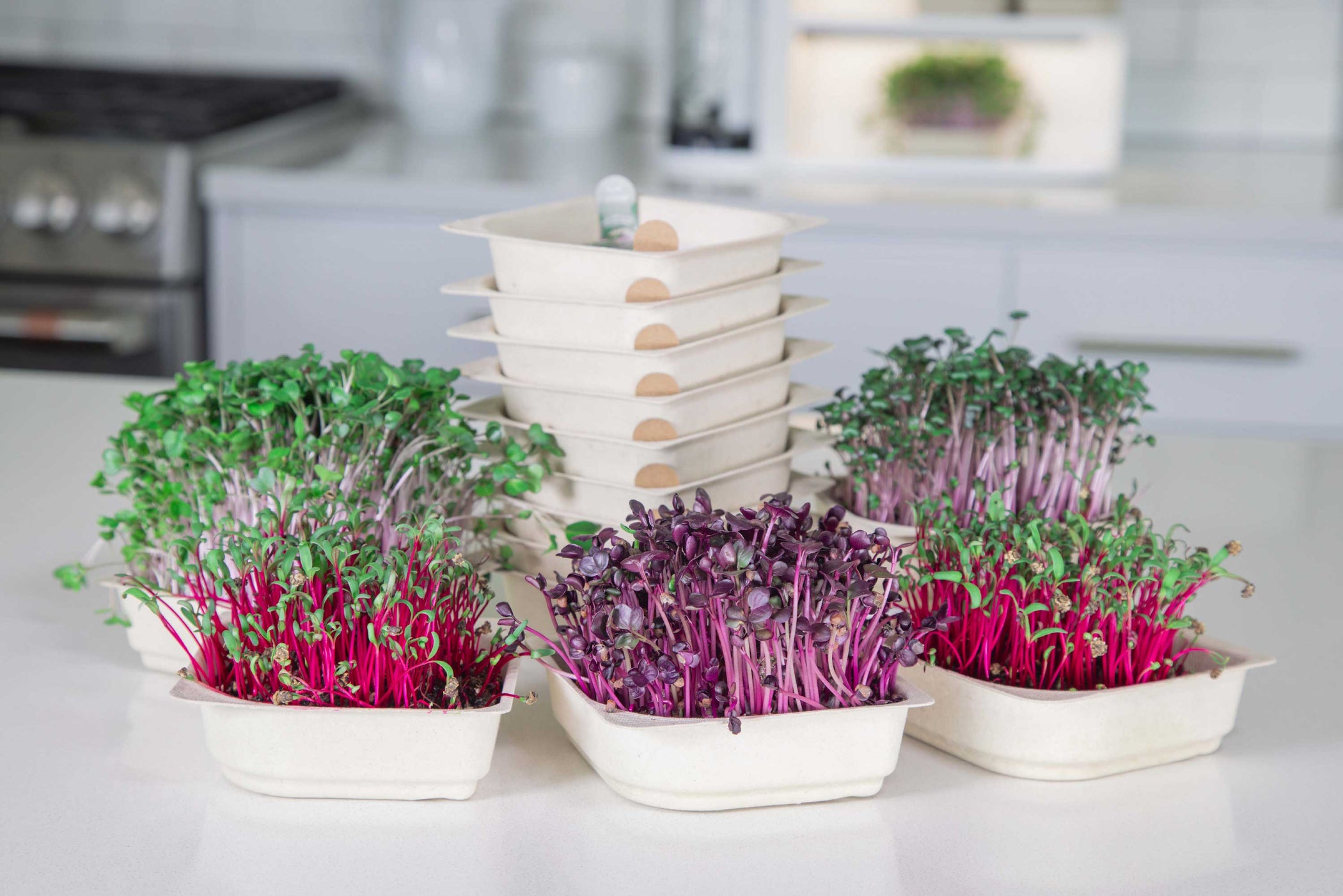 Instafarm - Grow Organic Soil-Based Microgreens Easy