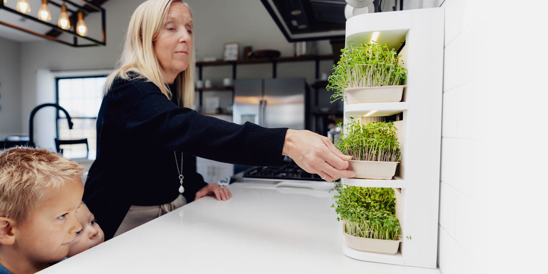 Designed to Simplify Growing Soil-Based Nutrition Indoors – Instafarm