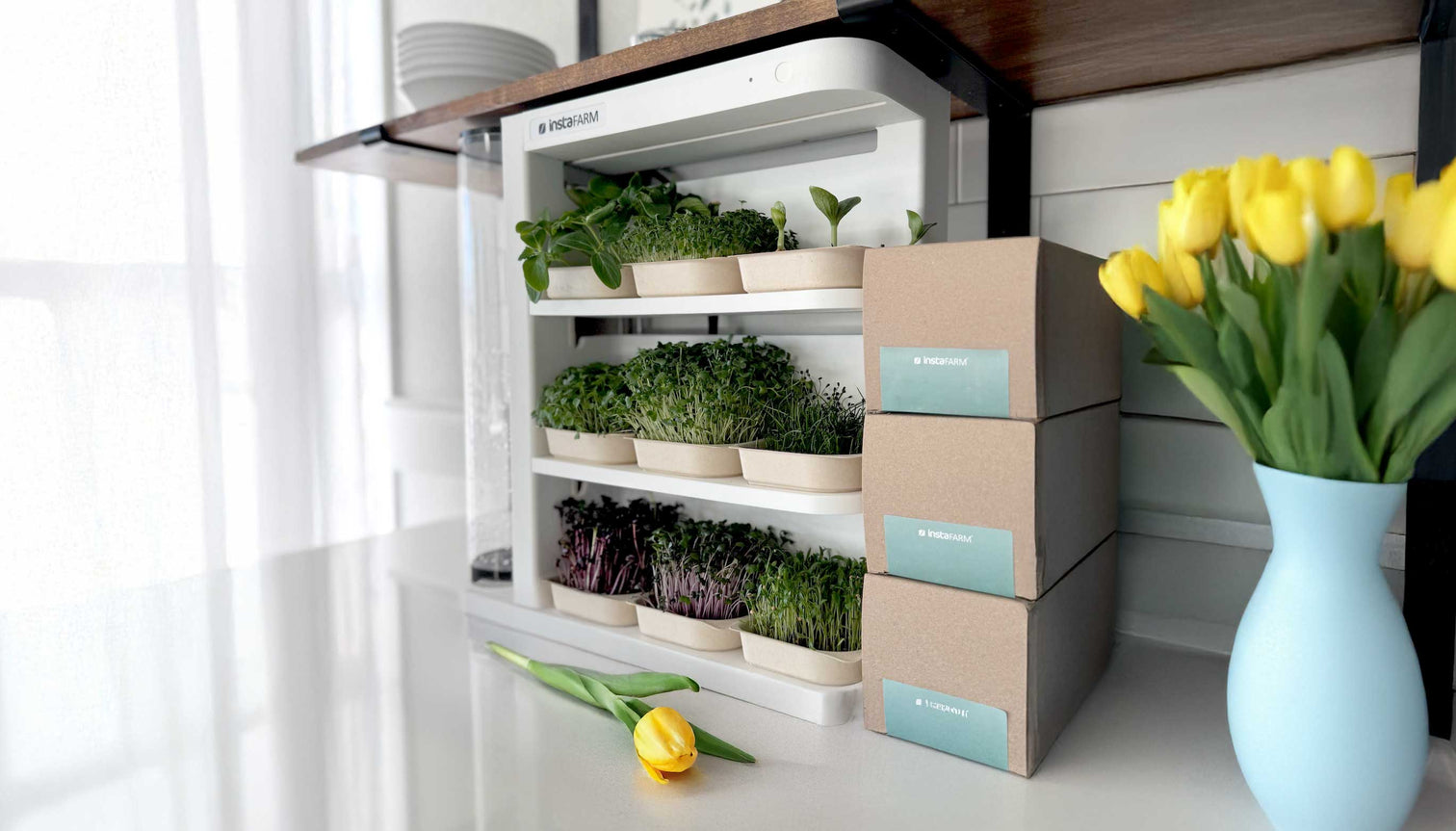 Easy Microgreen Growing - bring the farm to your table. – Instafarm